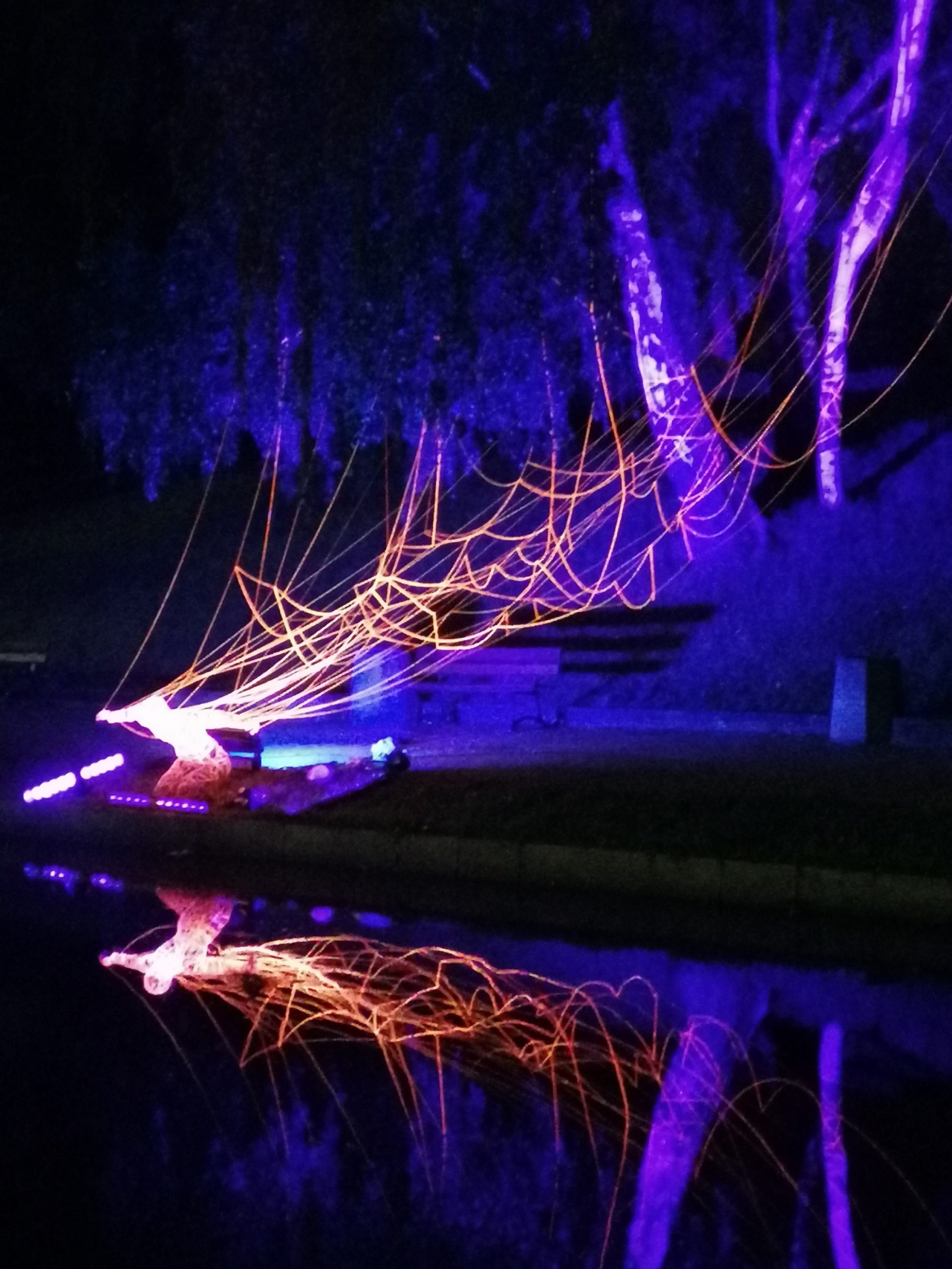 Bella Skyway Festival in Toruń, Poland – MOTION – an Erasmus+ funded ...